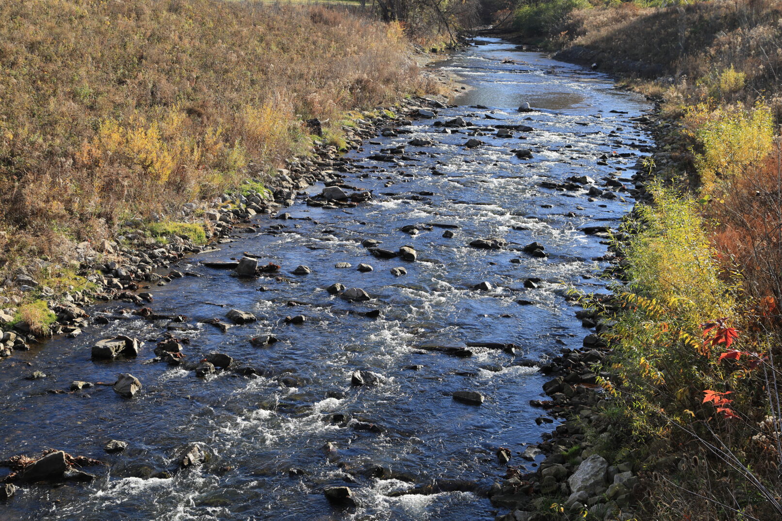 Transformative Solutions for Clean Water: A Moonshot for Great Lakes ...